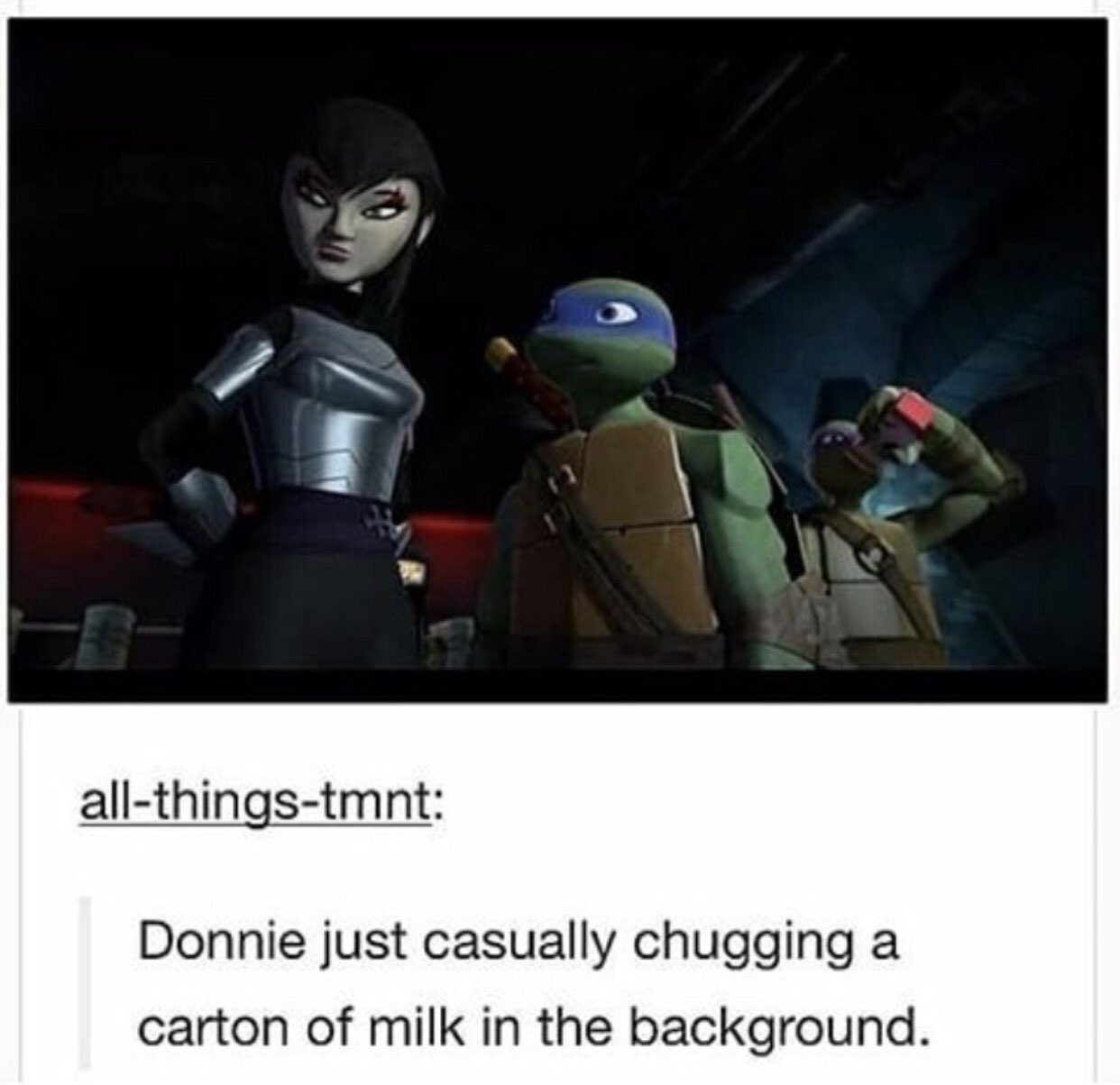 Funny Tmnt Memes 2012