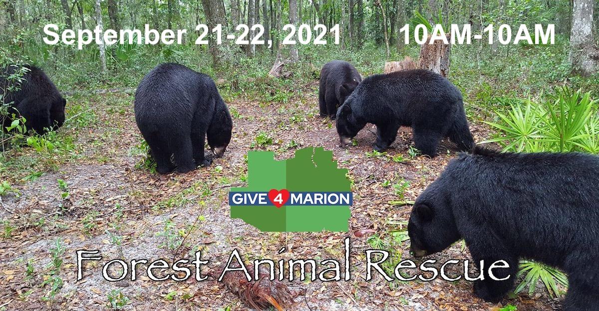 Forest Animal Rescue – by Peace River Refuge & Ranch – Wild Animal ...