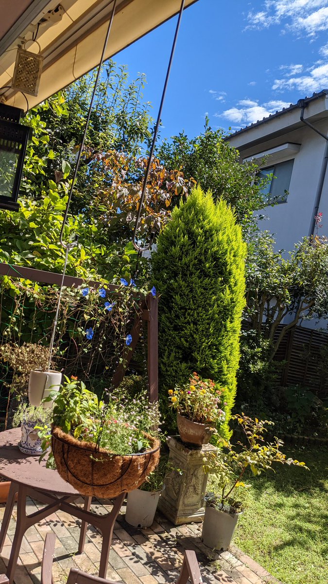 hairmake VENUS (@venus_harmonize) | Twitter