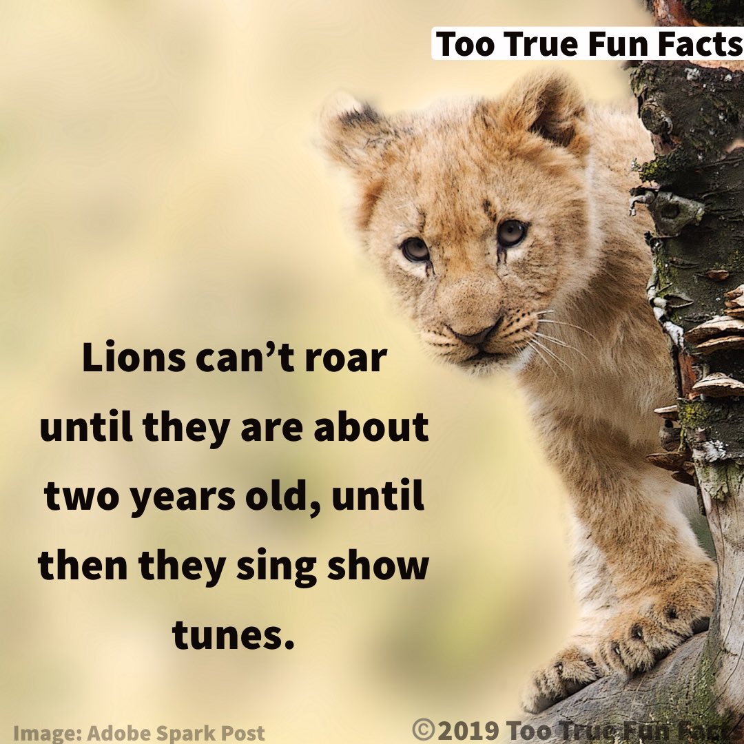 True Funny Facts Quotes 102 Funny One Liners To Crack Up Your Friends