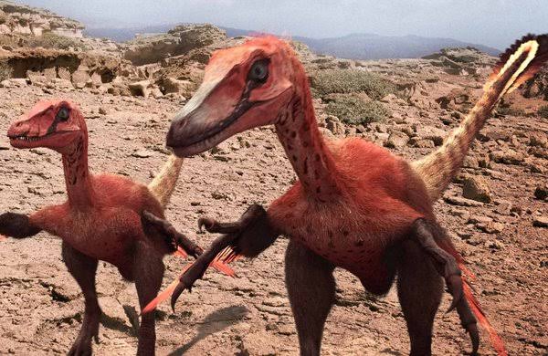 Troodon Dinosaur Revolution