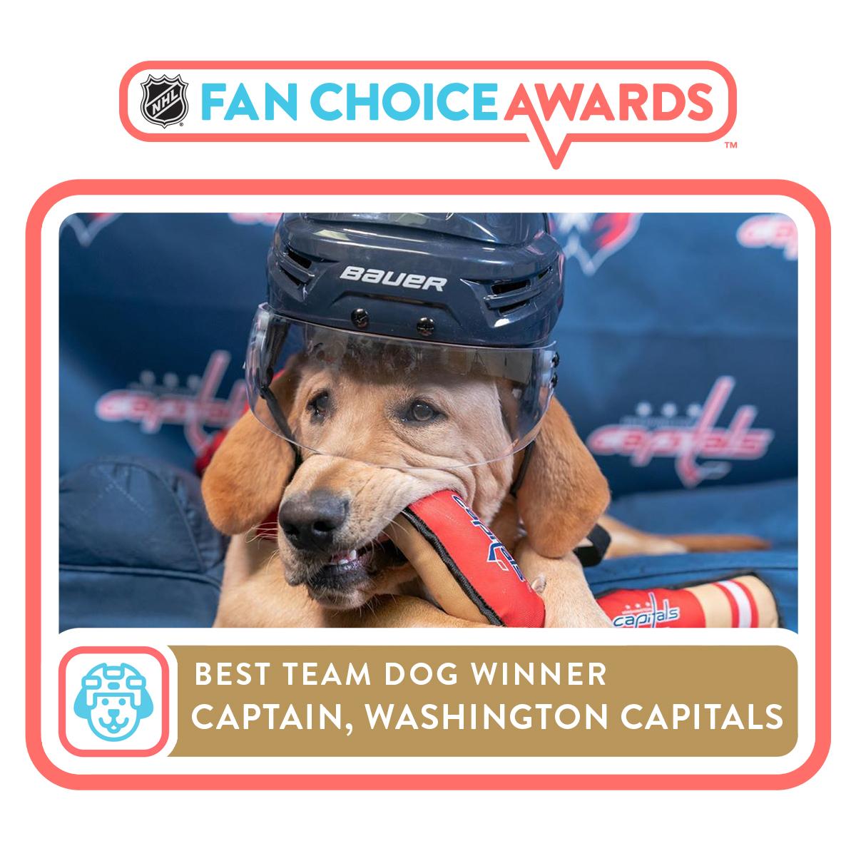 Oh Captain (CapsPup), our captain. You are the NHLFanChoice winner for ...