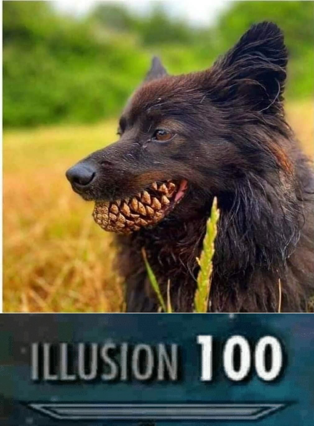 Hell Hound Meme