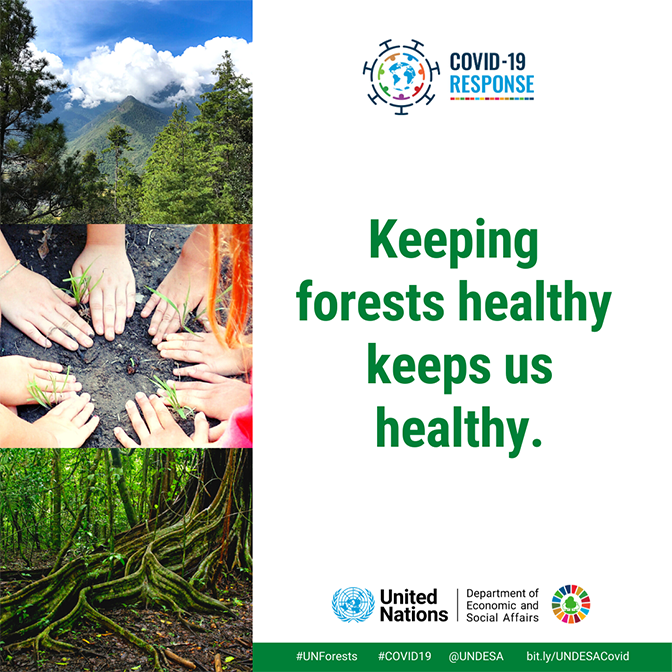 Forests support ? our physical, mental and spiritual health ?. Being in ...