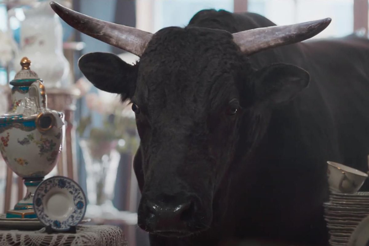 Moneysupermarket rewrites 'bull in a china shop' narrative | Campaign ...