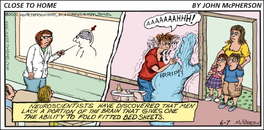 Male Vs Female Brain Funny