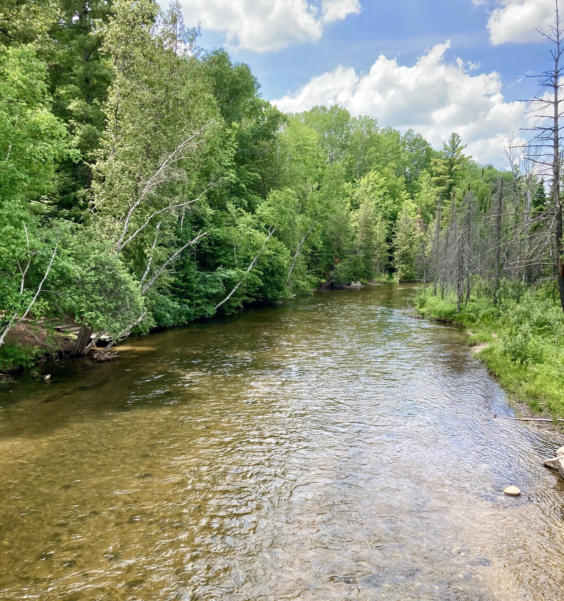 The Boardman River in Michigan | W.G. Dunlop | Scoopnest