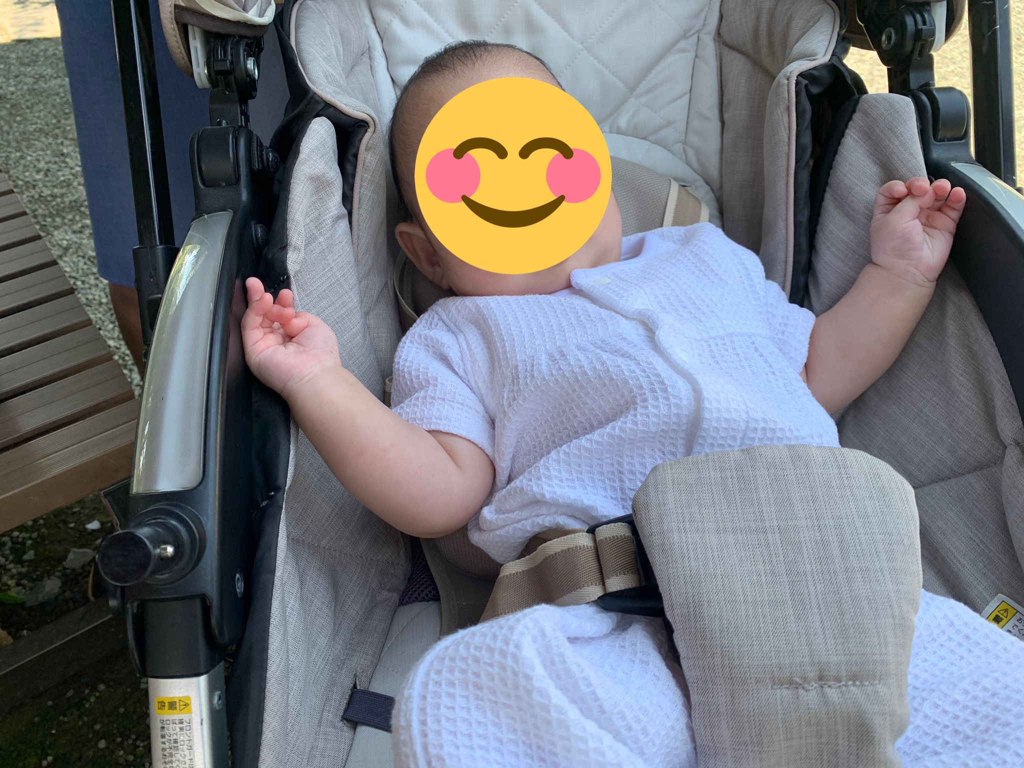 聖くん@写真垢 on Twitter: "今日の被写体様 5ヶ月 https://t.co/WtXPIIWgFq" / Twitter