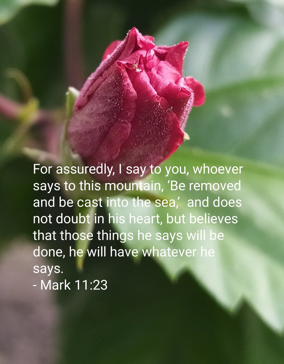 Adventist Manipur (@AdventistManipr) | Twitter