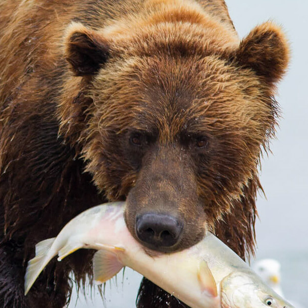 「#sixfanarts 」MKE2NDの漫画