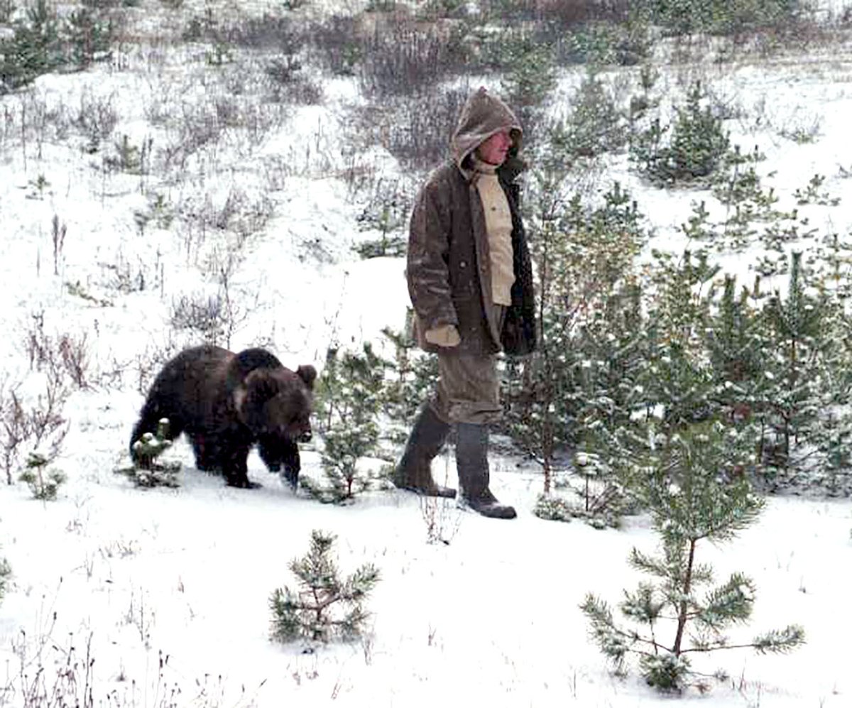 Valentin Pazhetnov, the world-renowned expert in brown bears & a ...