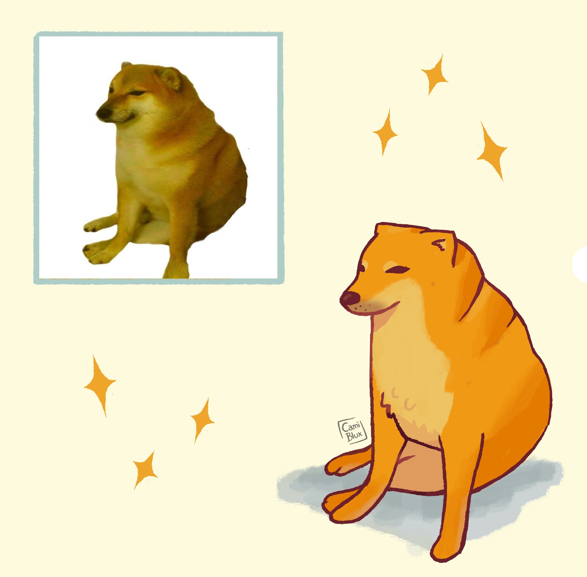 Memes Del Perro Bonito A Pero Que Bonito Perrito Meme | TikTok