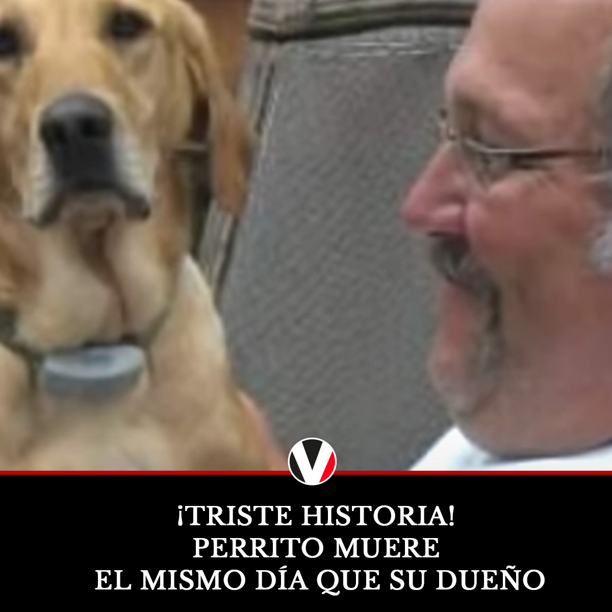 VIRALES | El caso ocurrió en los Estados Unidos, en donde Daniel Hove ...