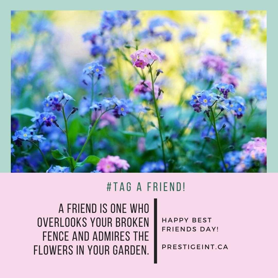 Friendship Quotes Flower Fence Inkology On X: "Today Is Best Friends
