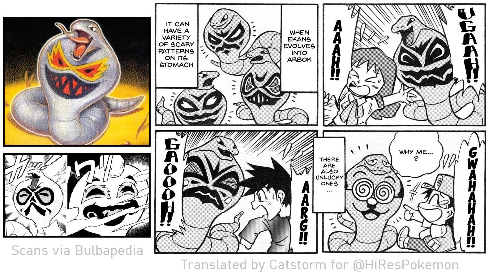 Arbok Different Patterns