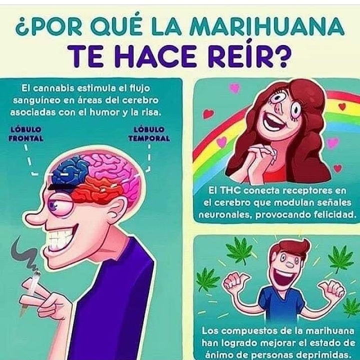 Sofia‍ ️‍🌈 (@jauregui_soffy) | Twitter