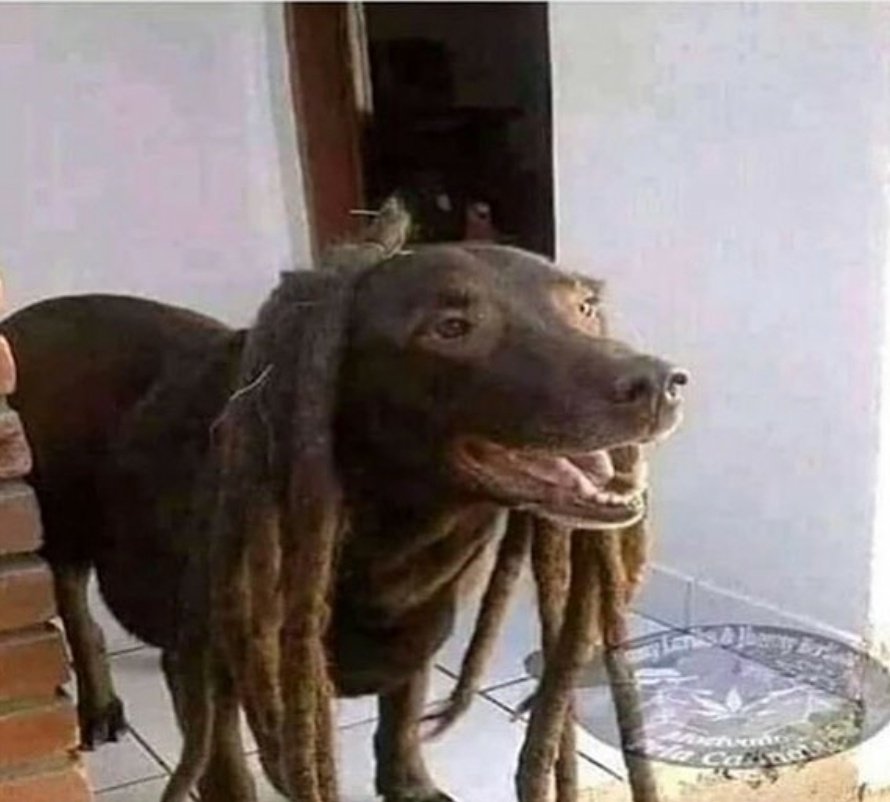 Sofia‍ ️‍🌈 (@jauregui_soffy) | Twitter