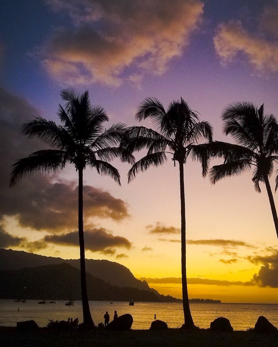 Nicholas Miuccio Social Media Influencer Bio on Socialix