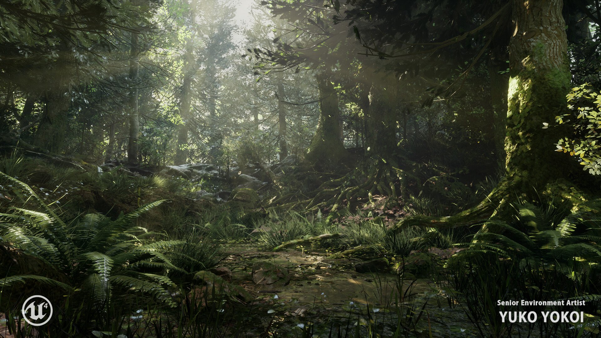Lush Forest With Animals
