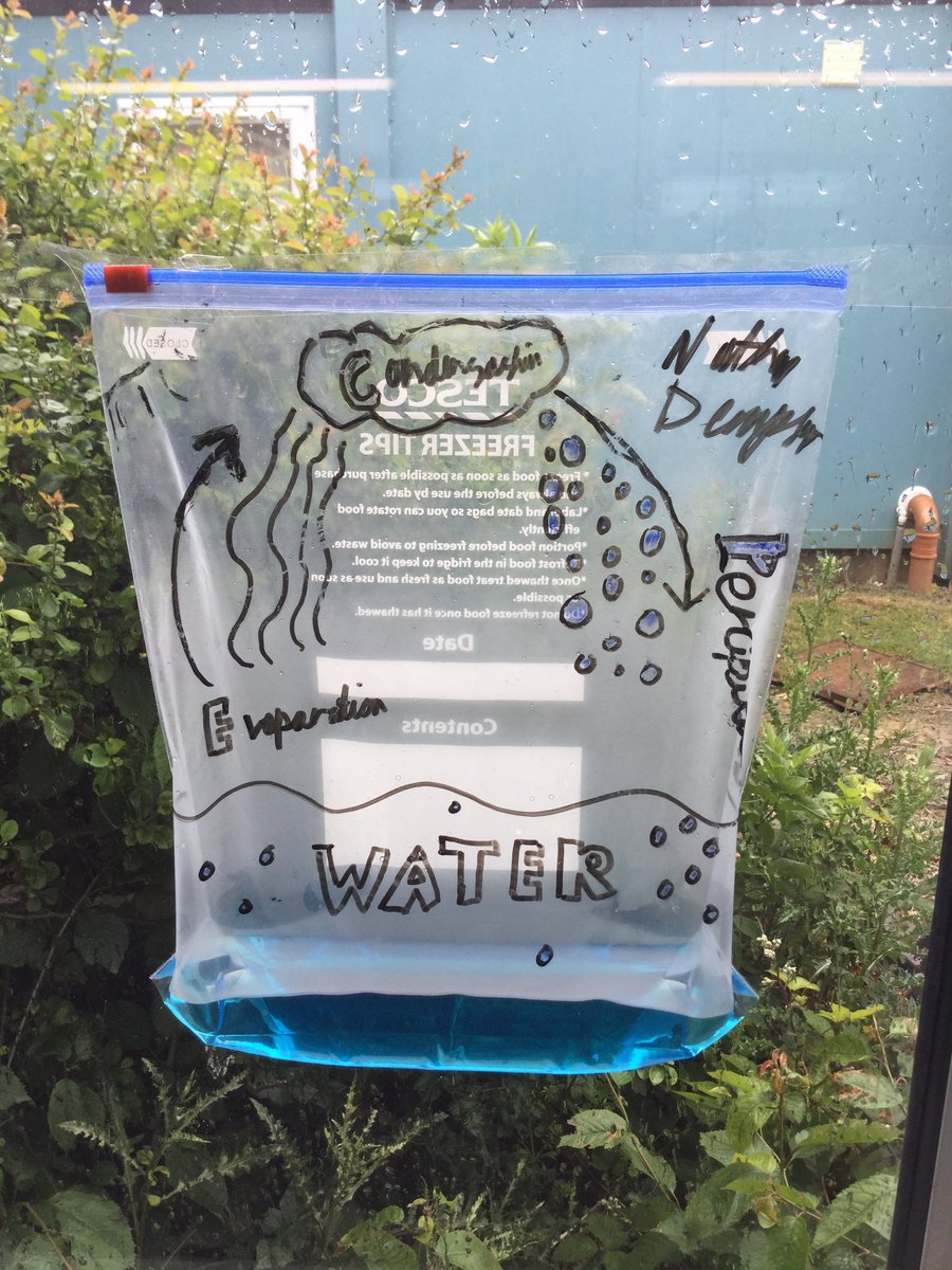 Wellfield Middle School on Twitter: "Why not try this at home? Y6 ...