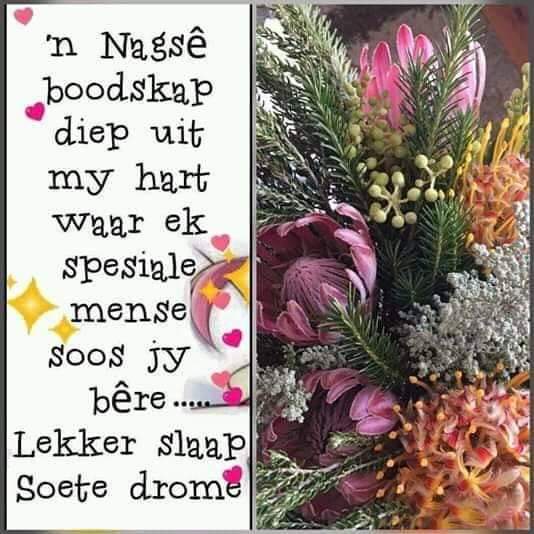 Lekker Slaap Boodskappe