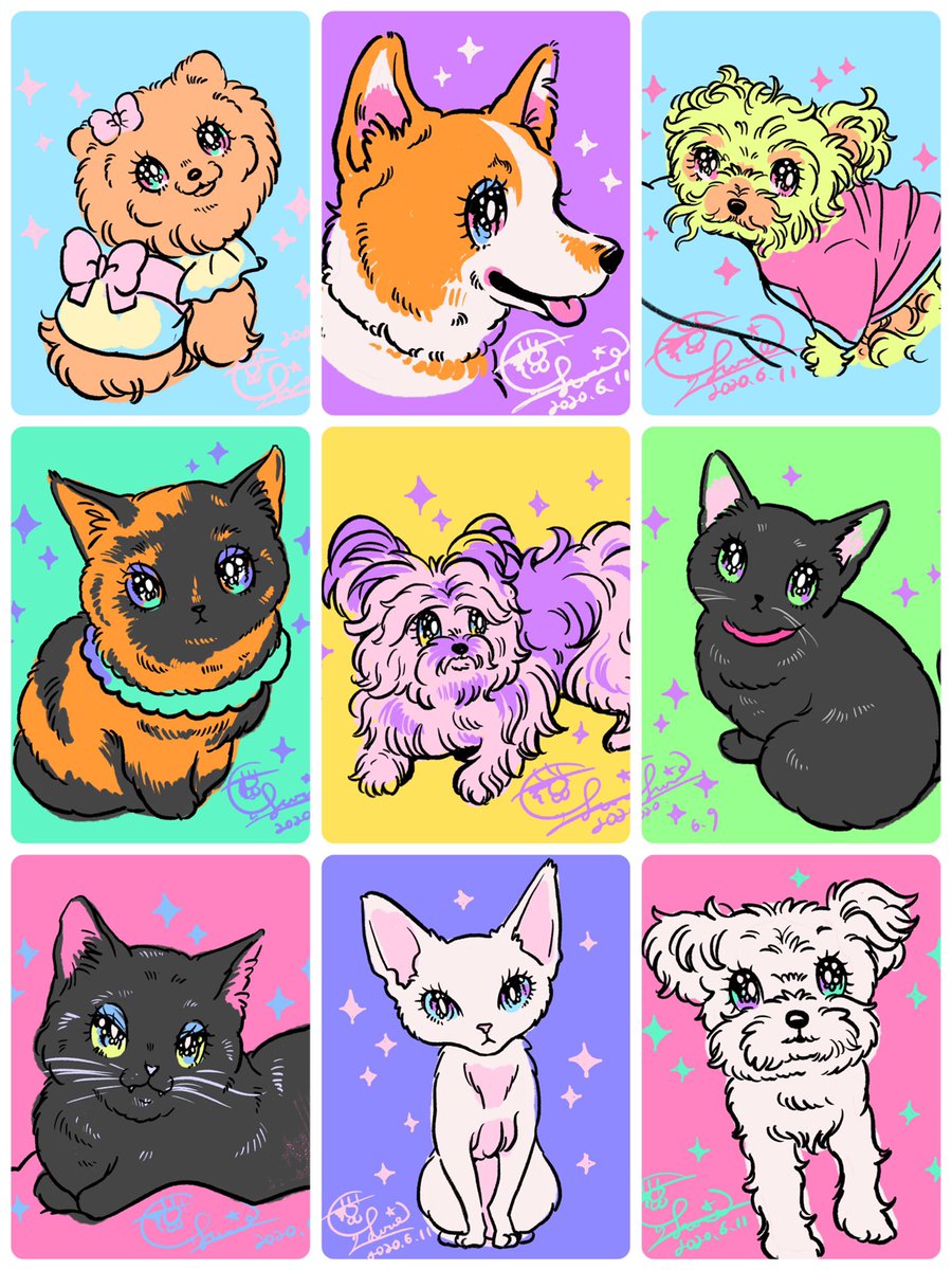 「today's Pet drawing????? 」🌈 ️‍🔥せきやゆりえ ️‍🔥🌈の漫画