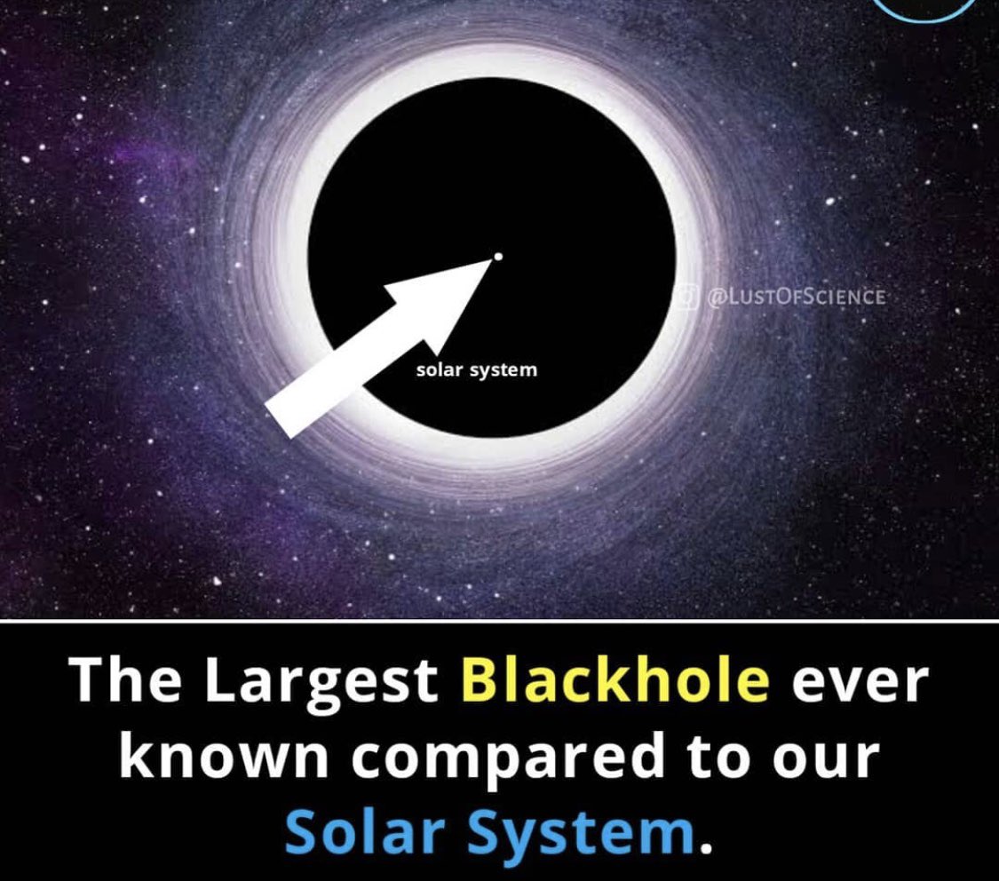 Ort Cloud Solar System Scale