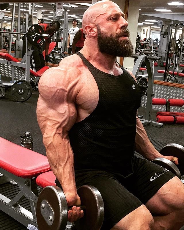 Roided Muscle Bodybuilders