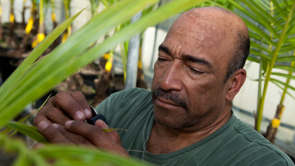 Michelle Foo's Instagram, Twitter & Facebook on IDCrawl