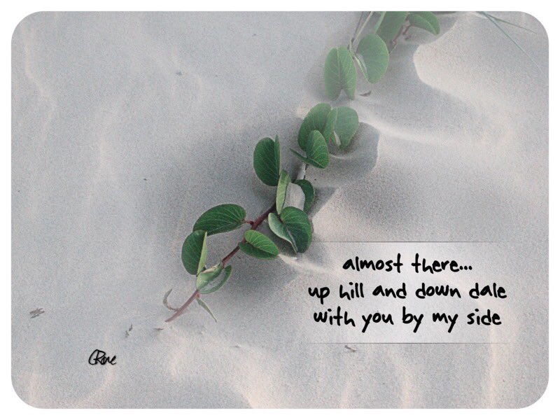 Biography – Cynthia Rowe