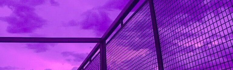 Purple Header Twitter