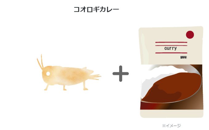 かもめ＠カモメトリップ (@kamometrip) | Twitter