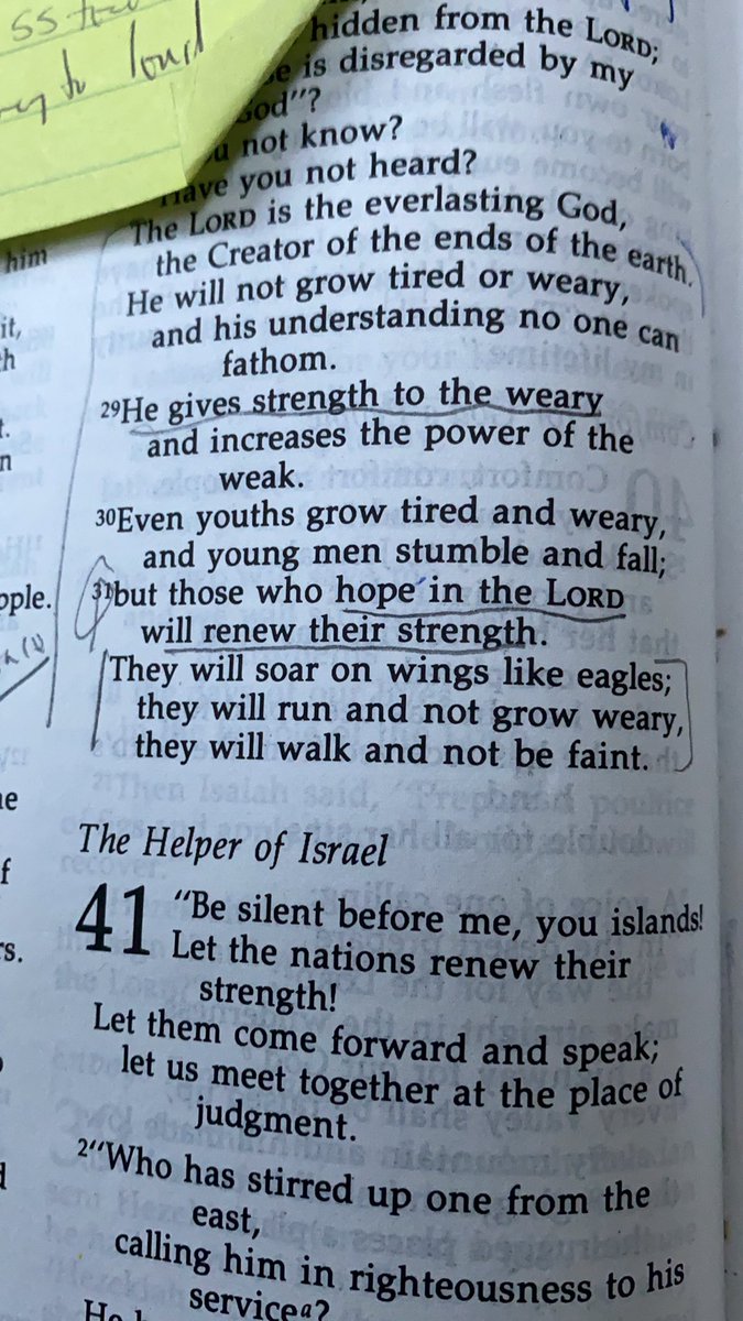 Even youths grow tired and weary, and young men stumble and fall; but ...