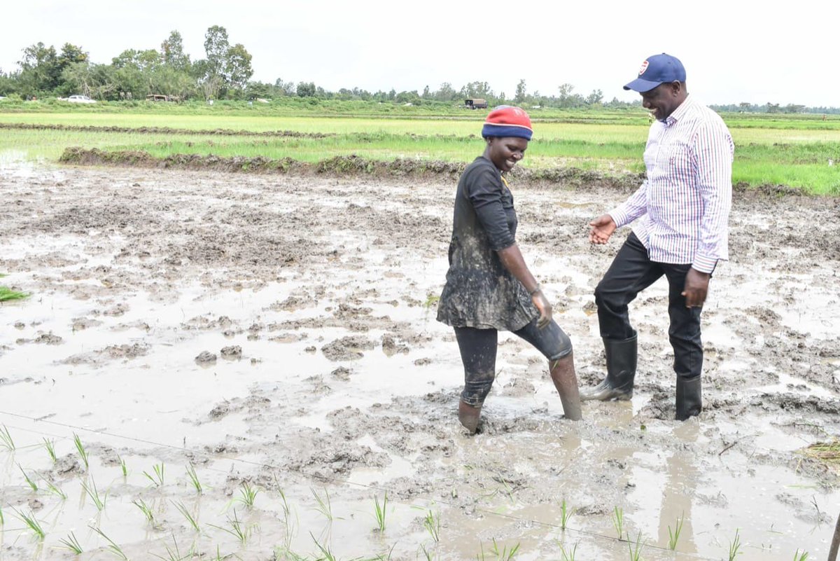 Edward Rono Kipkorir (@EdwardRonoKipk1) | Twitter