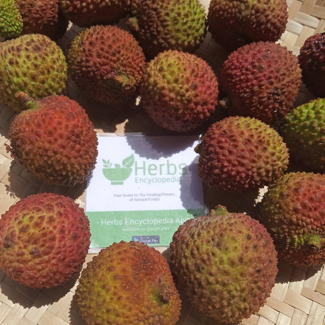Lychee Fruit Brown