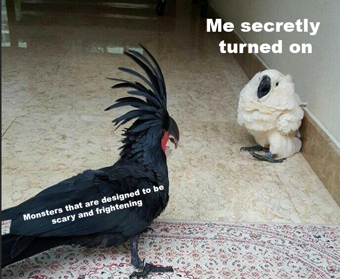 Scary Birds Memes 11,343 Creepy Birds Stock Photos, High Res Pictures,