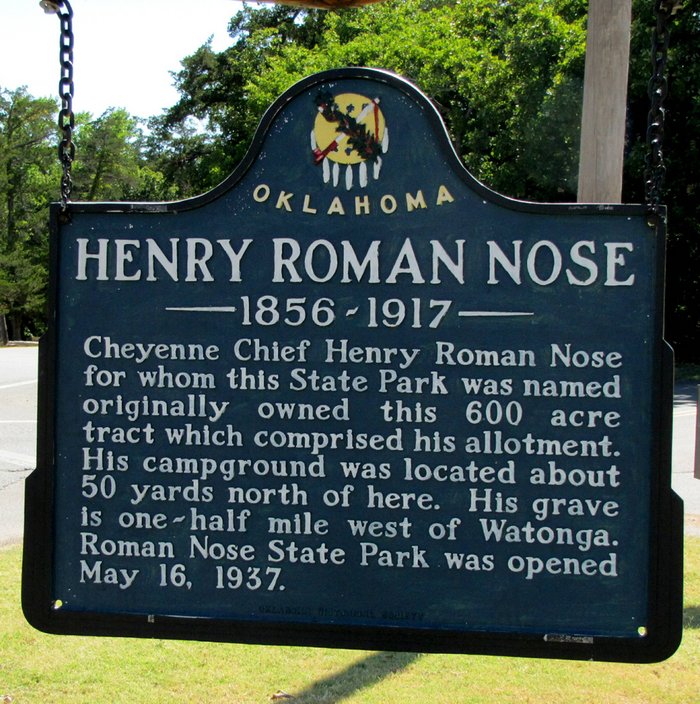 Roman Nose Indian Chief