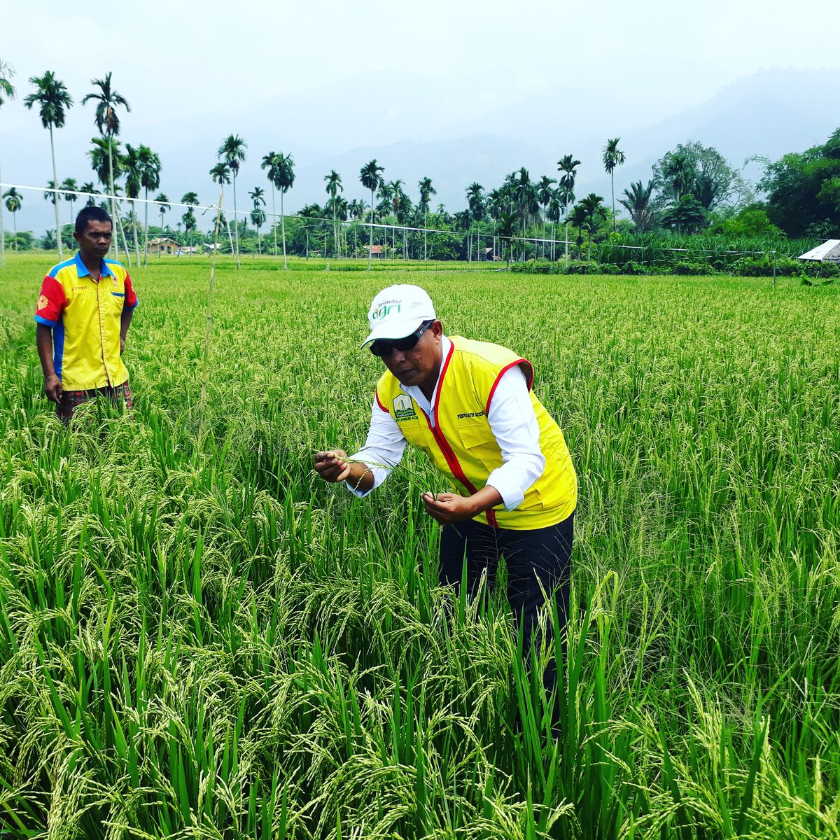 JUNAIDI AGARA (@agara_junaidi) | Twitter