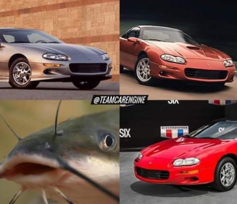 Camaro Catfish Meme