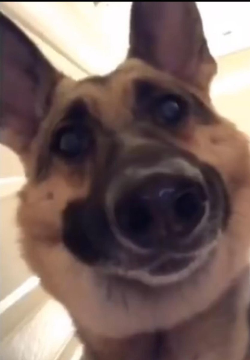 Facundo (@Facundo_unico) | Twitter