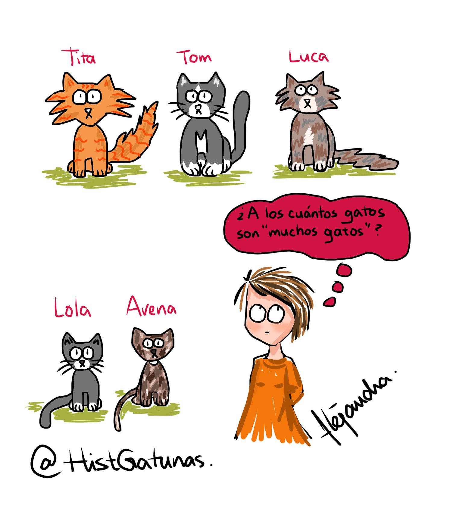 Historias Gatunas on Twitter: "¿A los cuántos gatos...? https://t.co ...