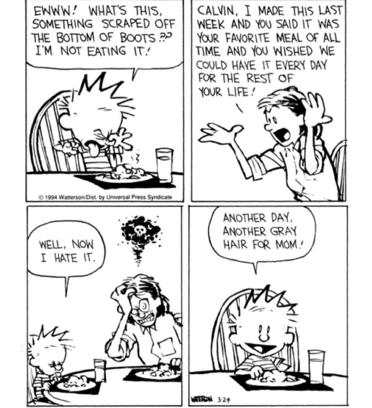 Hobbes From Calvin And Hobbes Expressions When I Was Reading Calvin