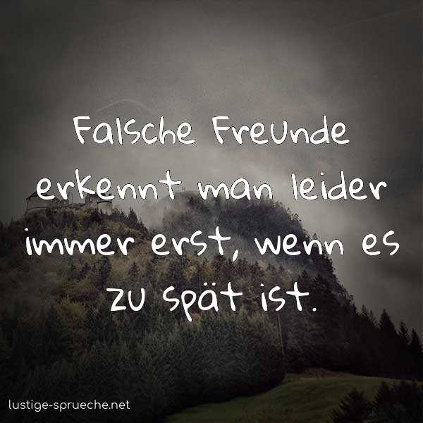 Lustige Zitate über Falsche Freunde