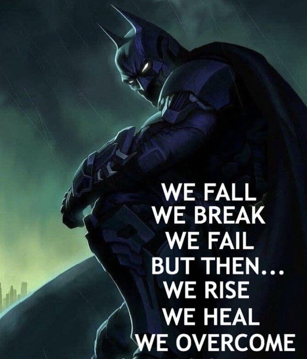 Batman Quotes Why Do We Fall