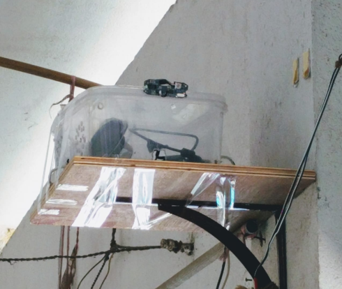 Prithwi Chayan Chatterjee (@prithwi_cc) | Twitter