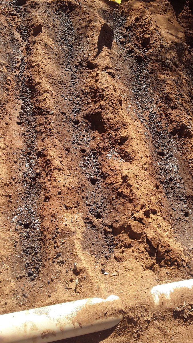 The Primed Mind(MMB) (@mrbaatweng1) | Twitter