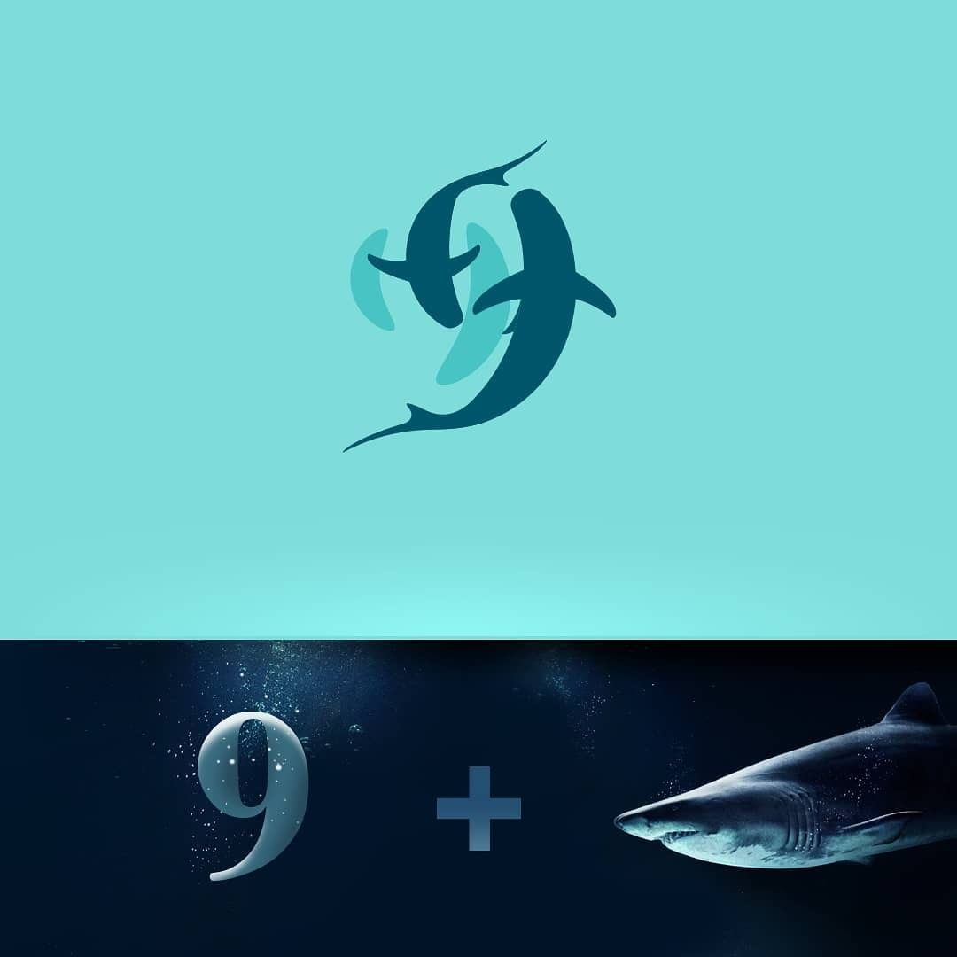 Negative Space Shark