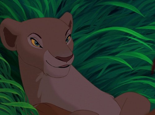 Lion King Nala And Simba In Love