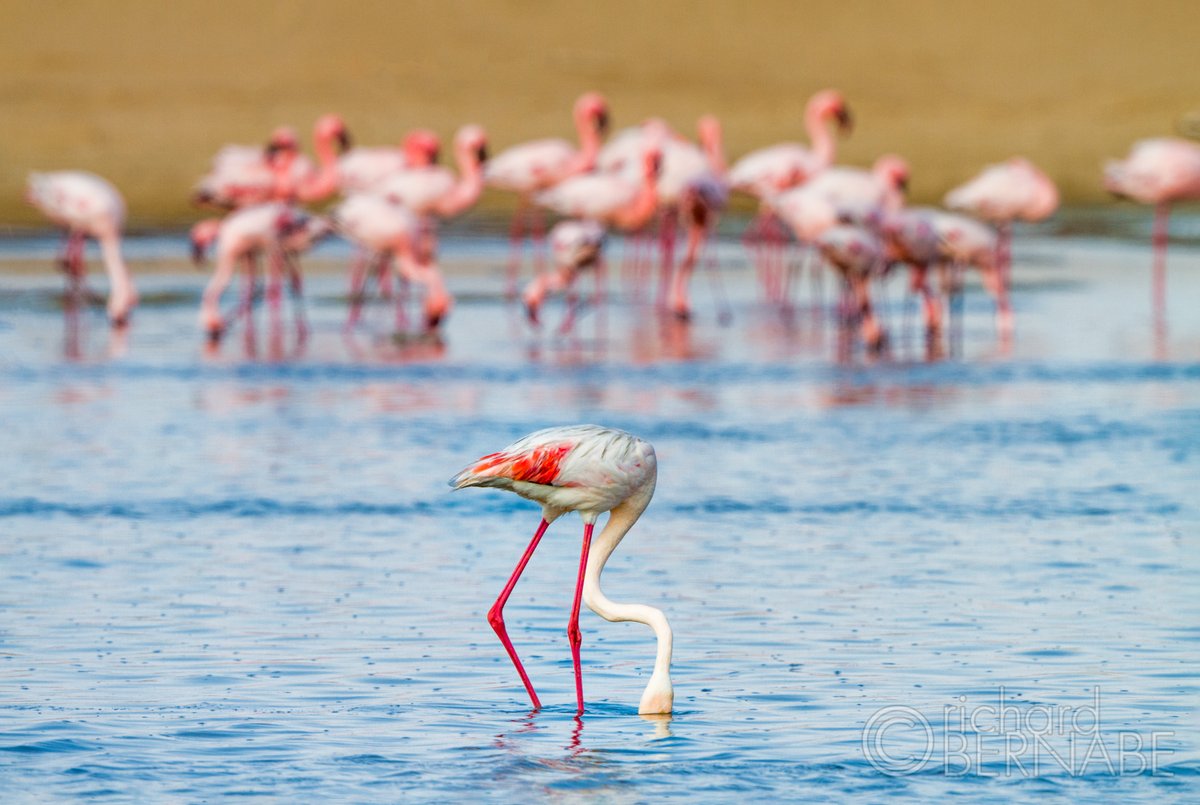 Emphasis By Isolation