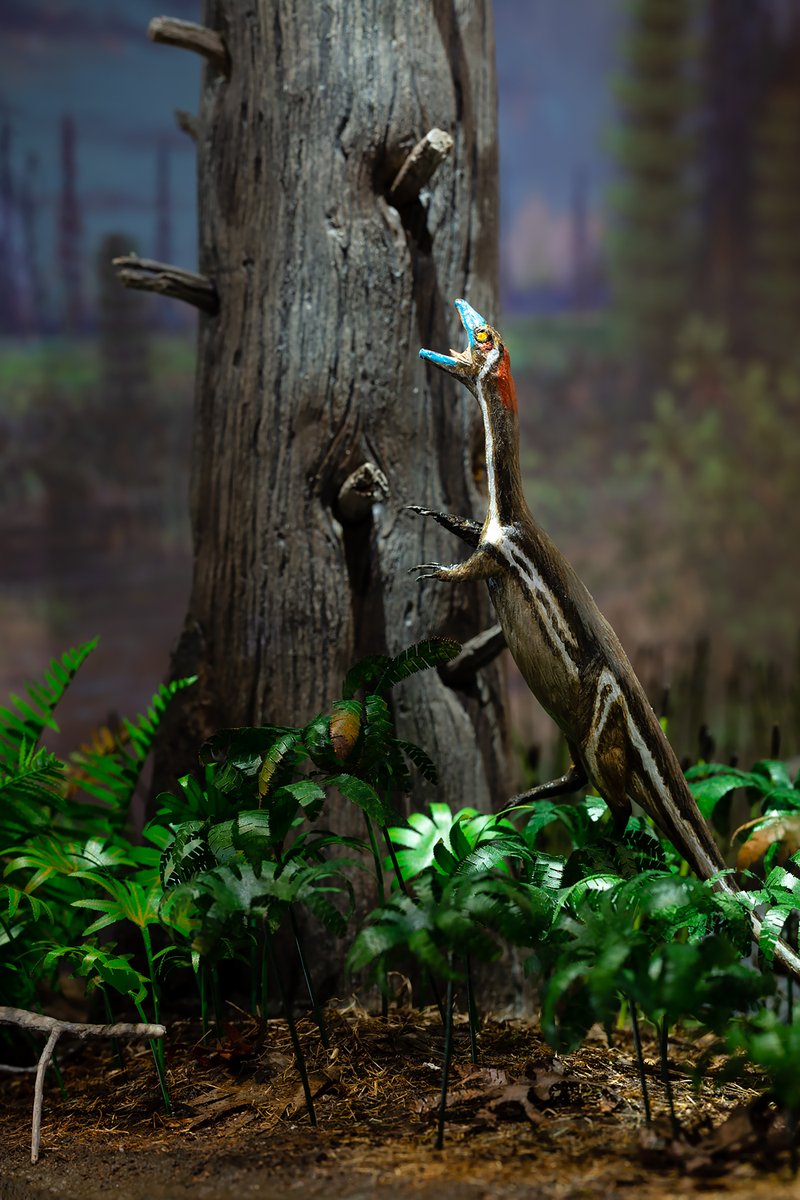 DeepTime ’s dioramas brim with details that bring past ecosystems to ...